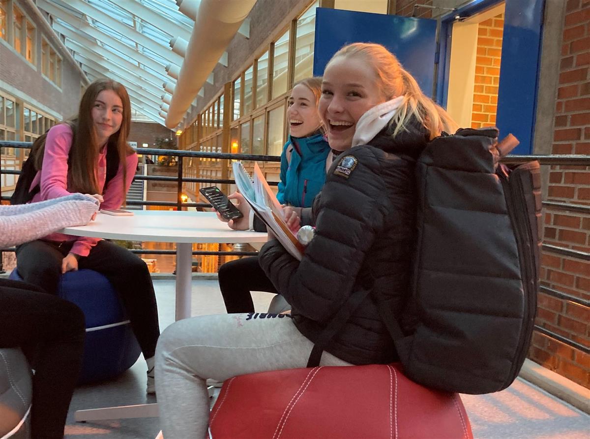 Ekspertrapport anbefaler Bodin-modell - Bodin vgs